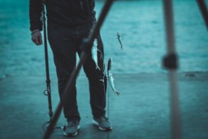 Sage Fly Rods Website - Premium Fishing Gear